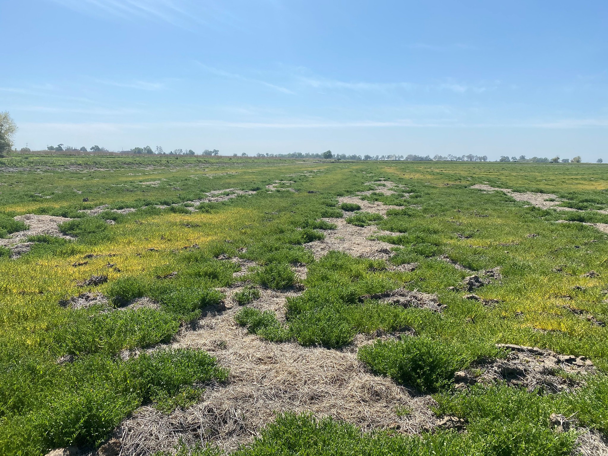 Solutions – Heritage Growers